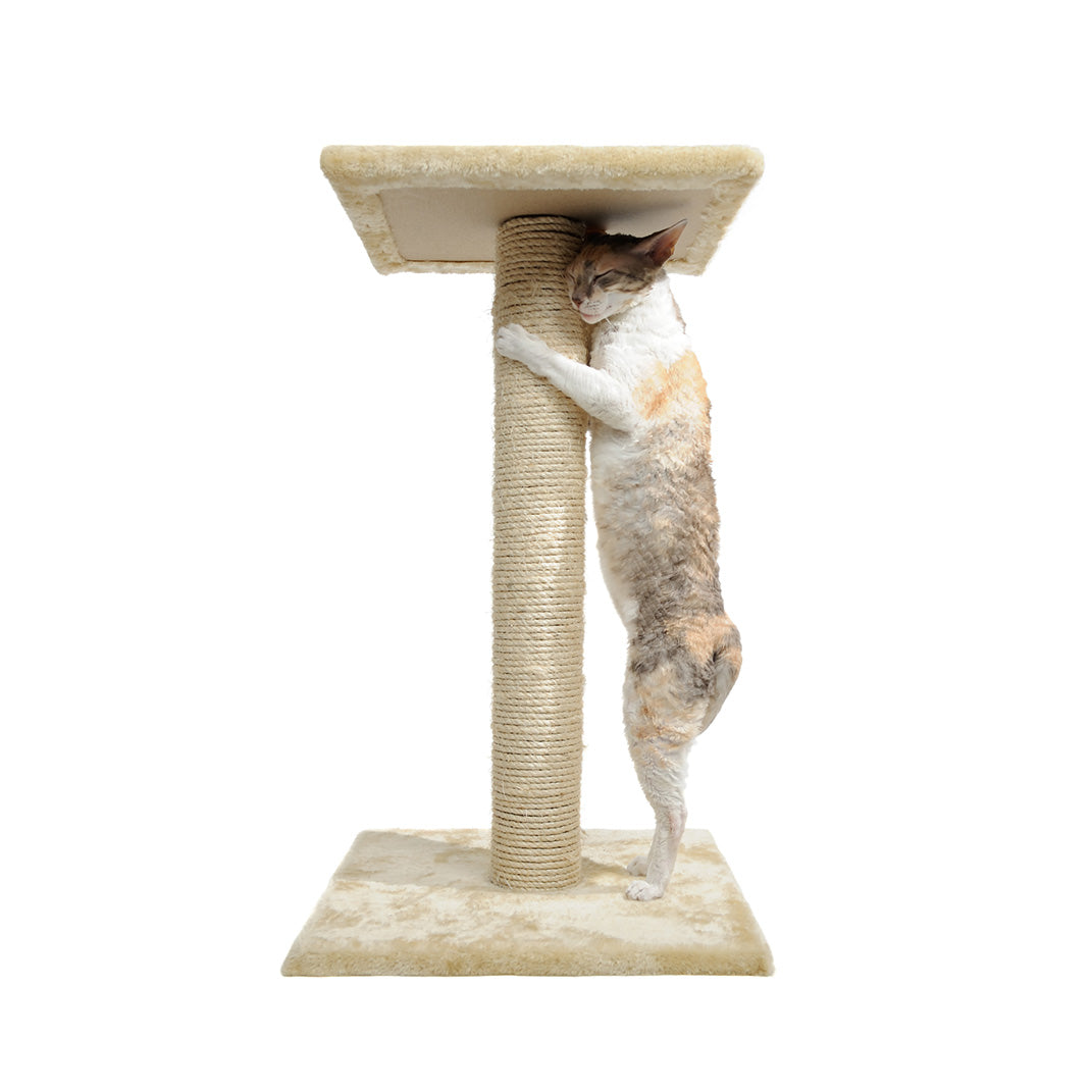 Columns – cattreeparts